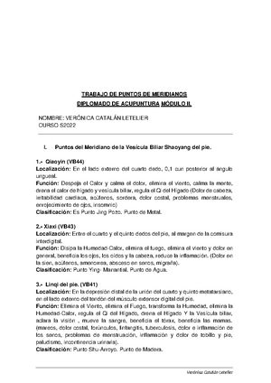 Trabajo DE Puntos DE Meridianos Dumai- Renmai - TRABAJO DE PUNTOS DE ...
