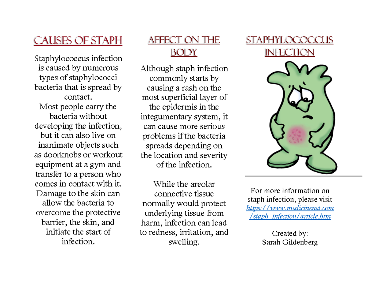 Staphylococcus Pamplet - Causes of staph Staphylococcus infection is ...