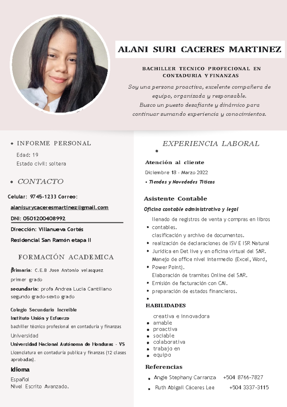 Curriculum mujer profesional moderno y original rosa - ALANI SURI ...