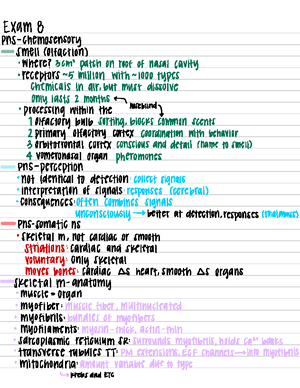 Lecture notes 9-28 - Cynthia Bronson - Composition gray matter ...