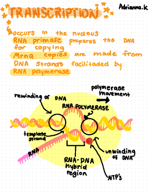 33-Captialism and Socialism - #33—Crash Course World History Video ...