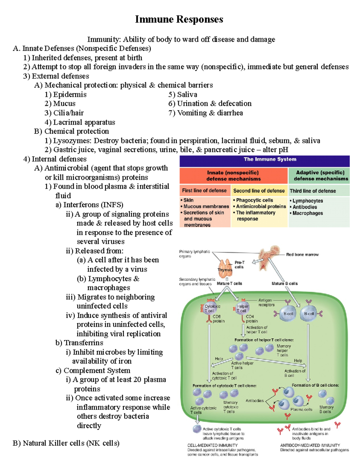 Immune Responses Outline - Immune Responses Immunity: Ability of body ...