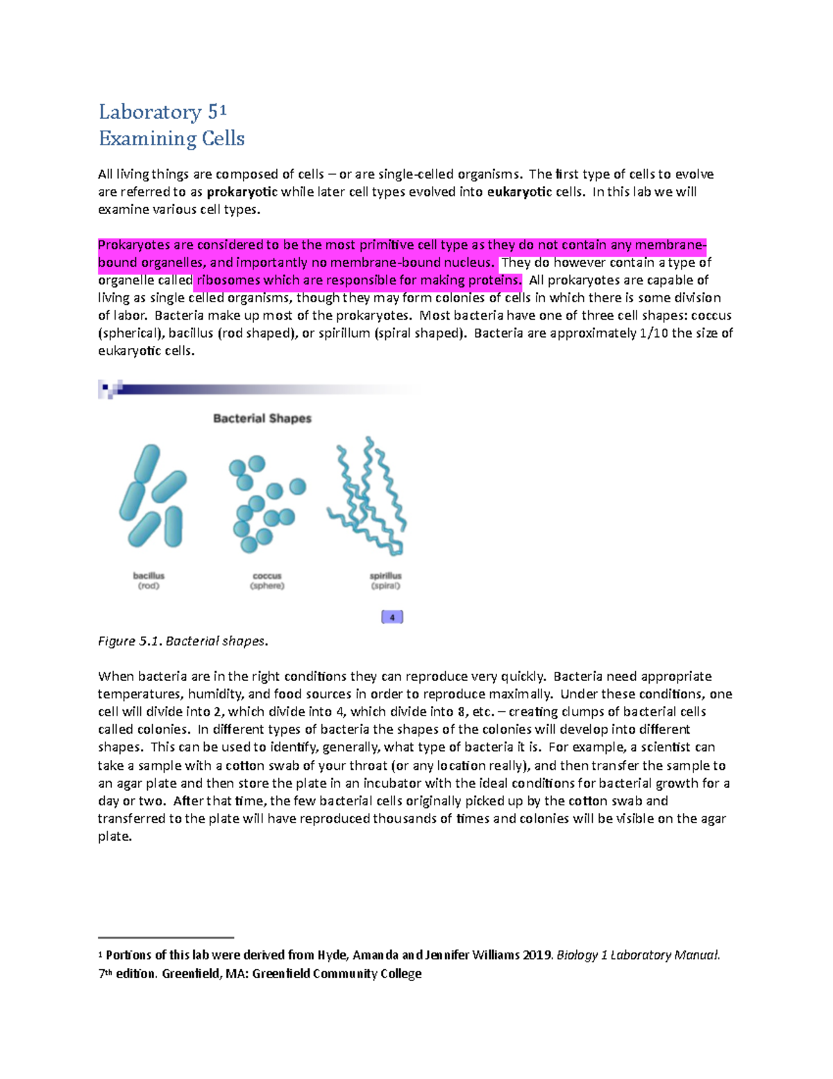 Laboratory 5 Examining Cells - Laboratory 5 1 Examining Cells All ...