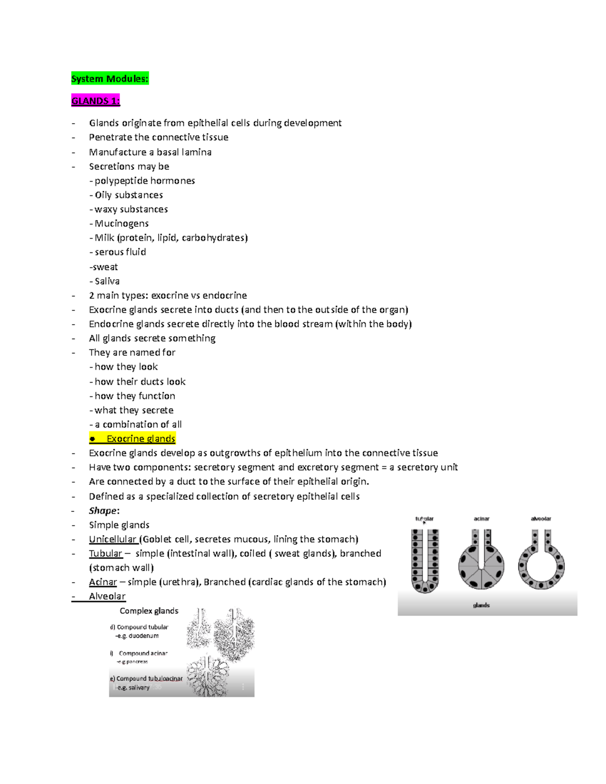 System Modules - notes - System Modules: GLANDS 1: Glands originate ...