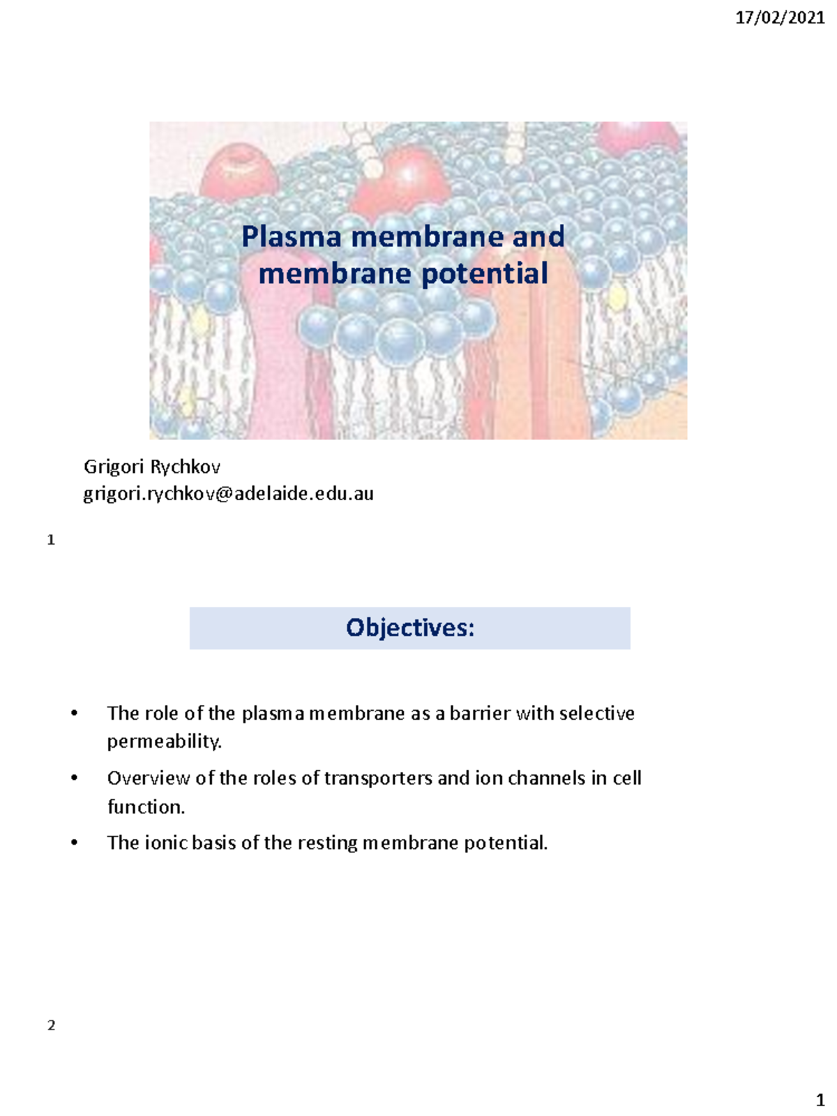 Plasma membrane and membrane potential lecture notes - Plasma membrane ...