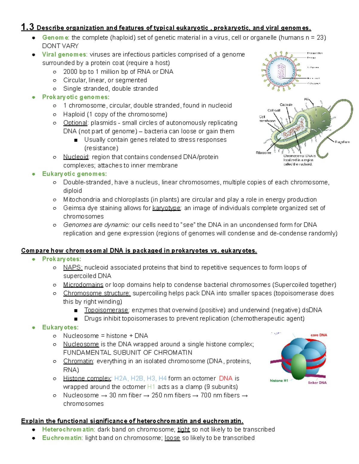 Genetics Learning Objectives - 1 Describe organization and features of typical eukaryotic ...