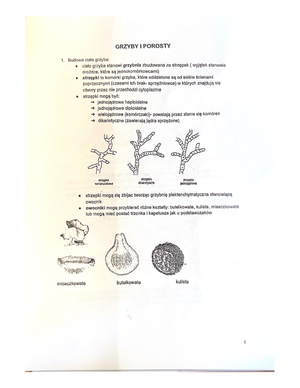 Bakterie i archeony - zadania - Bakterie / archeowce Zadanie 1. (0-1 ...