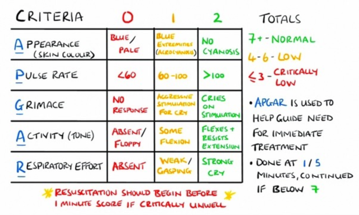 APGAR Score Made Easy - NR-327 - Studocu