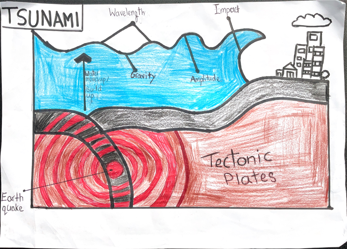 Scanned Document 2024-06-09 at 11.08.51 AM - TSUNAMI Wavelength Impact ...