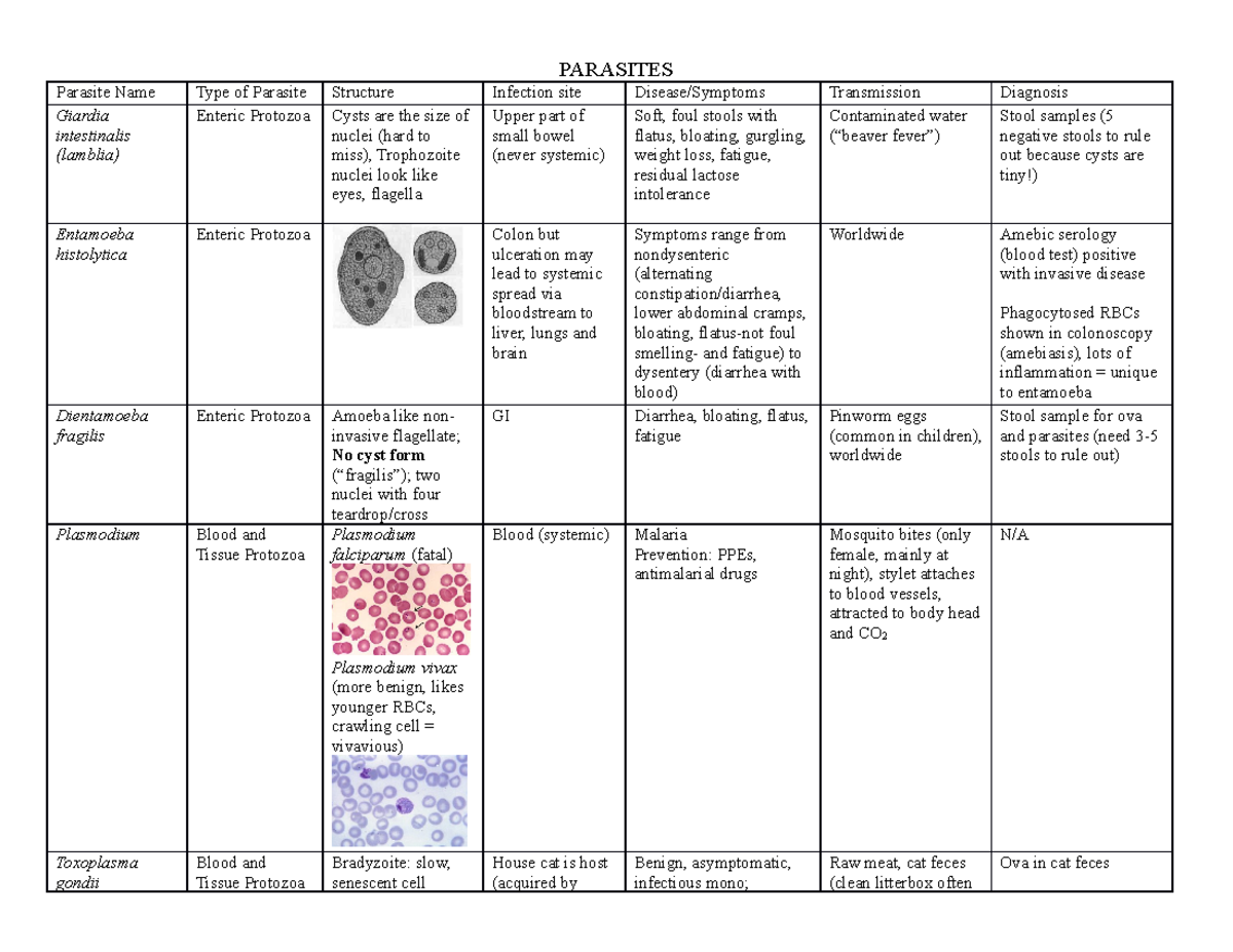 Parasites-and-Shrooms - Dr. Colby - PARASITES Parasite Name Type of ...
