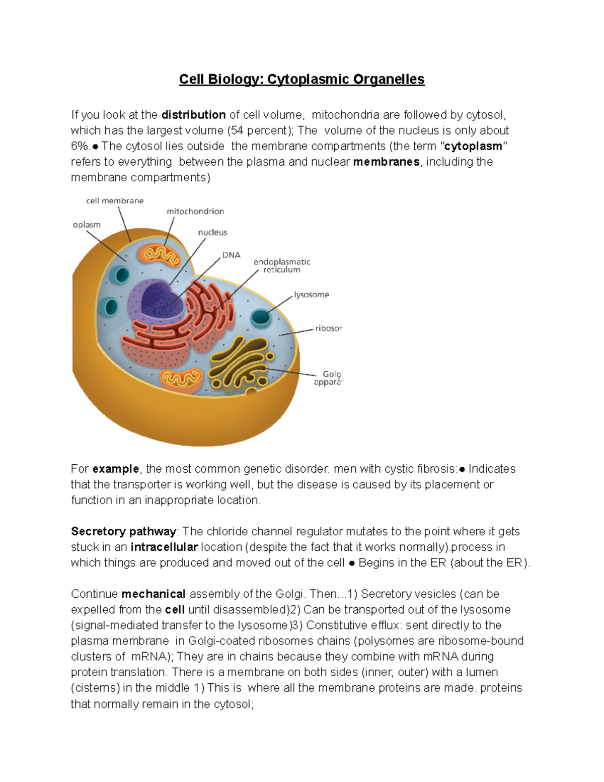 Cell Biology Cytoplasmic Organelles - The cytosol lies outside the ...