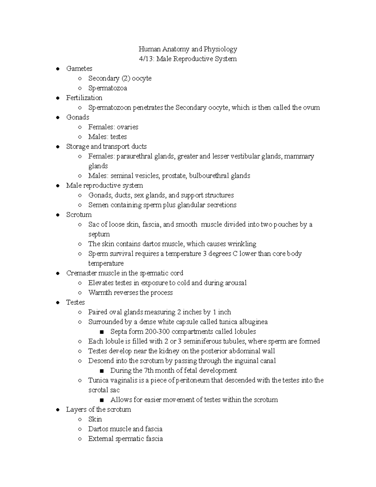 The Male Reproductive System lecture Notes - Human Anatomy and ...