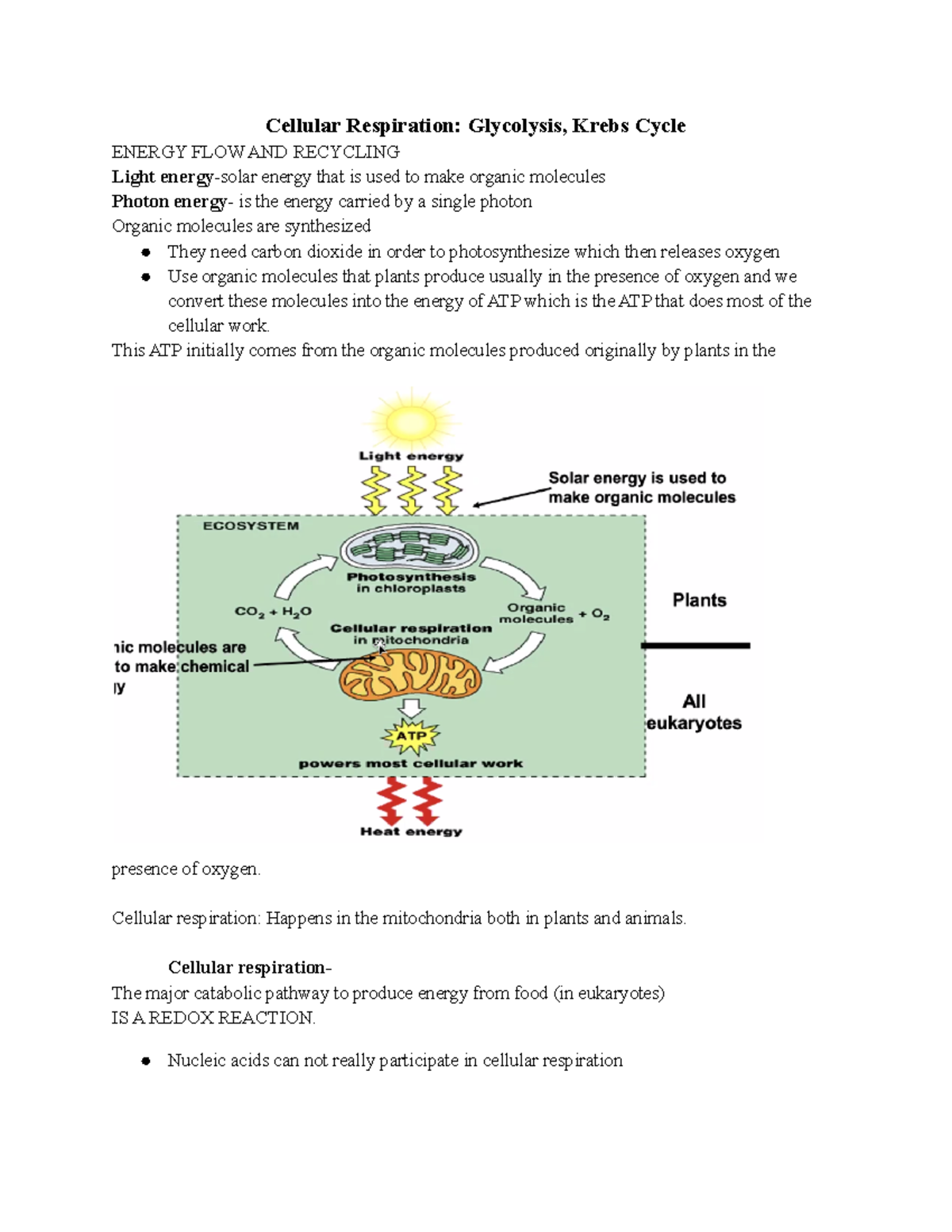 Lecture 12 Cellular Respiration - Cellular Respiration: Glycolysis ...
