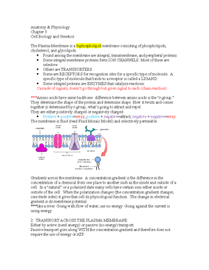 BIOL 244 Anatomy AND Physiology SKIN AND BODY Membranes Notes - BIOL ...