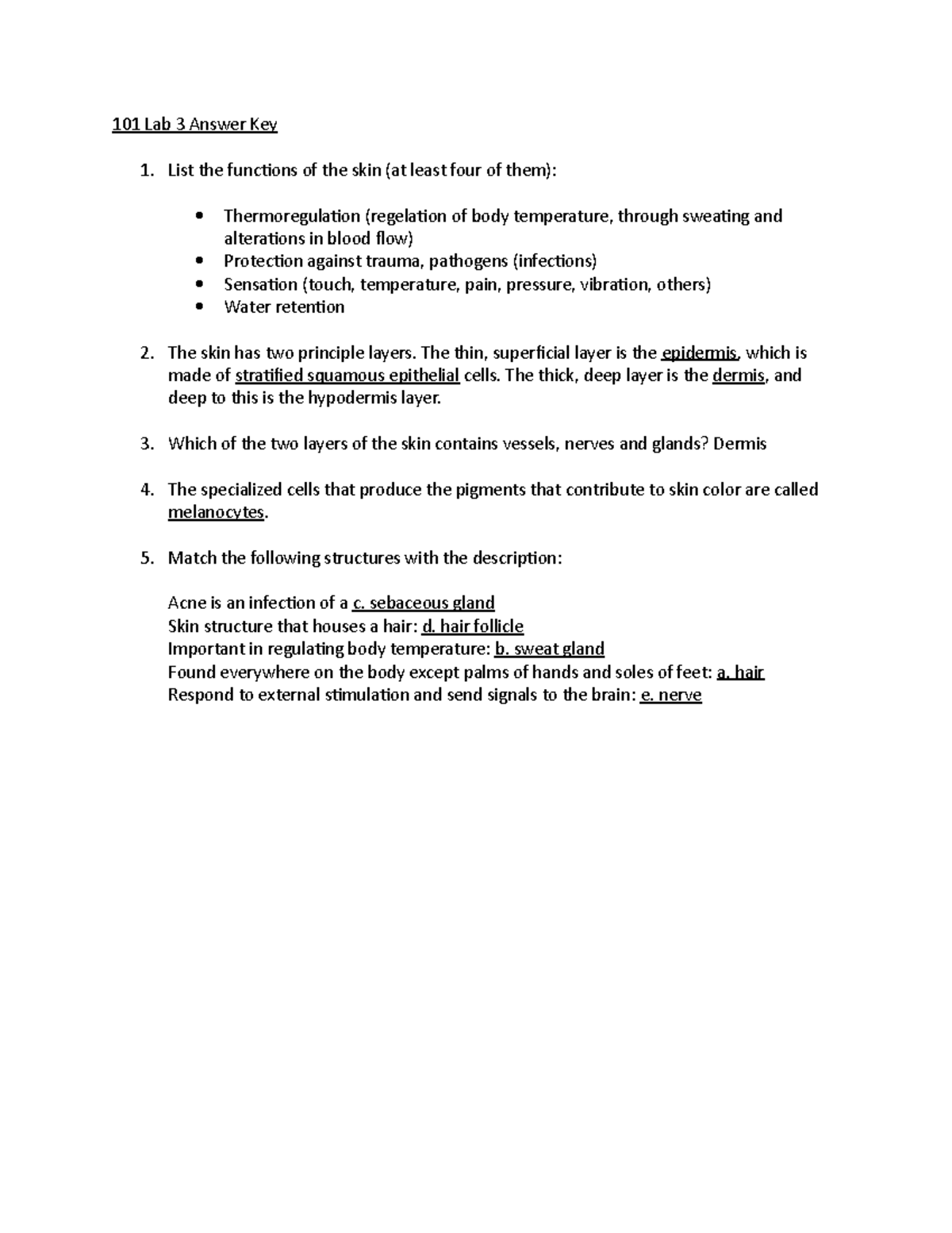 101 Lab 3 Answer Key - 101 Lab 3 Answer Key 1. List the functions of ...