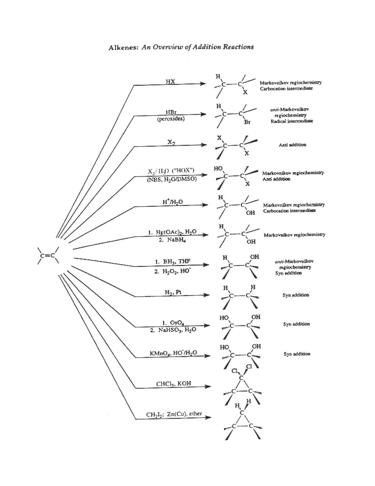 Alkene Alkyne Reactions - CHE-340/640L - Studocu