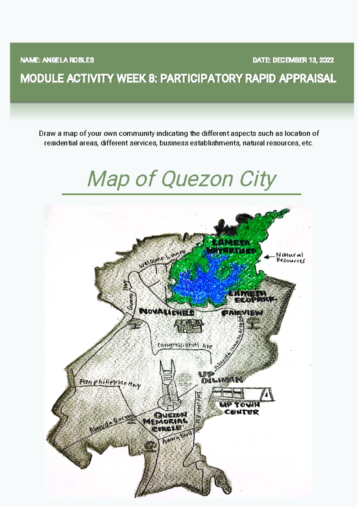 Module Activity WEEK 8 - NNNAAAMMMEEE::: AAANNNGGGEEELLLAAA ...
