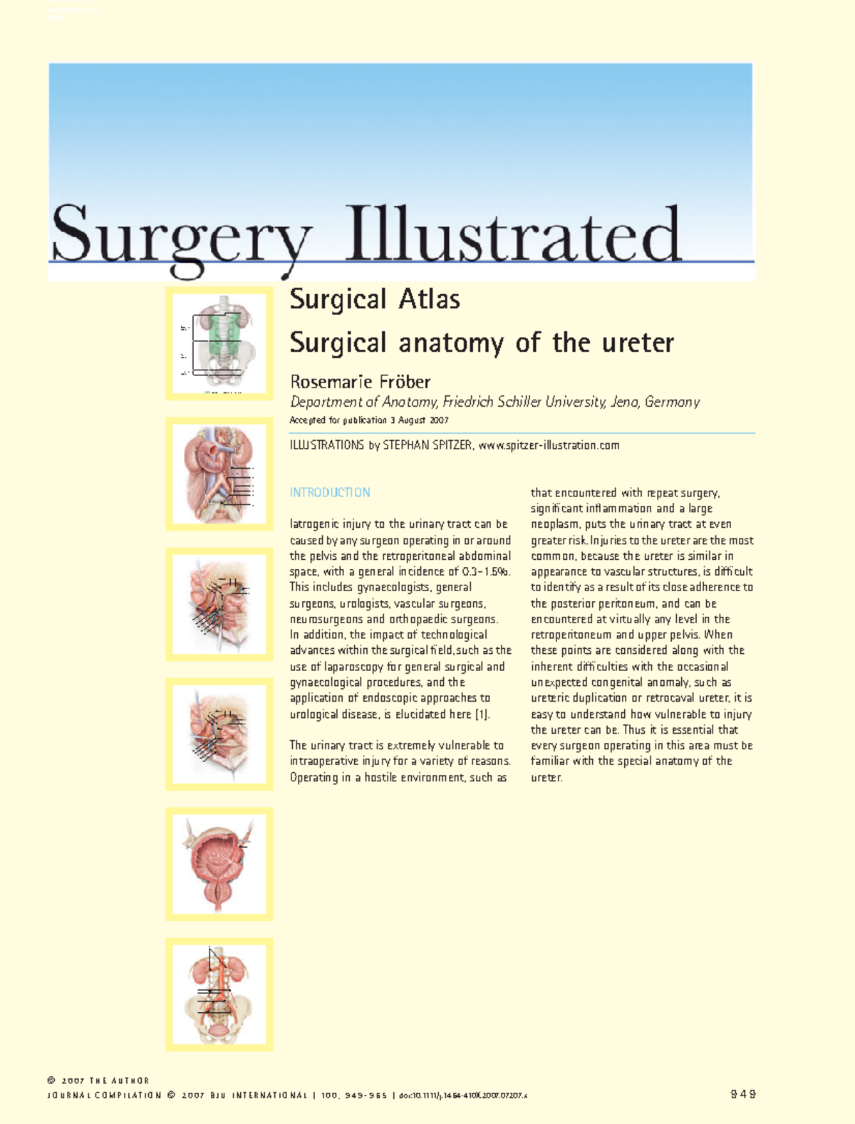 Surgery Illustrated Anatomy of the ureter - © 2 0 0 7 T H E A U T H O R ...