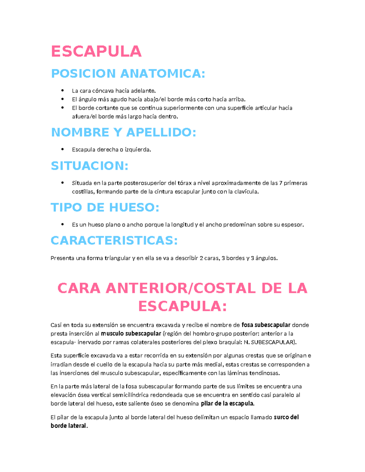 Escapula - ESCAPULA POSICION ANATOMICA: La cara cóncava hacia adelante ...