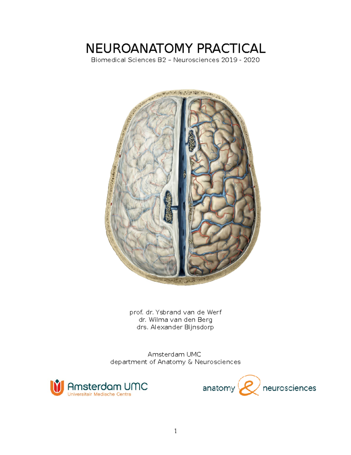 Neuroanatomy practical - NEUROANATOMY PRACTICAL Biomedical Sciences B2 ...