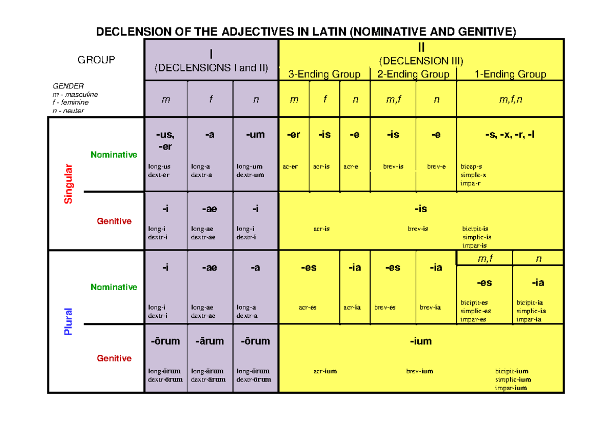 Adjectives Nominative Genitive-9 - DECLENSION OF THE ADJECTIVES IN ...