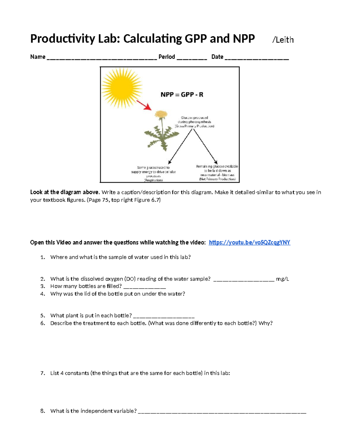 Goodness Eziomano - Virtual Lab Calculating GPP and NPP - Productivity Lab: Calculating GPP and ...