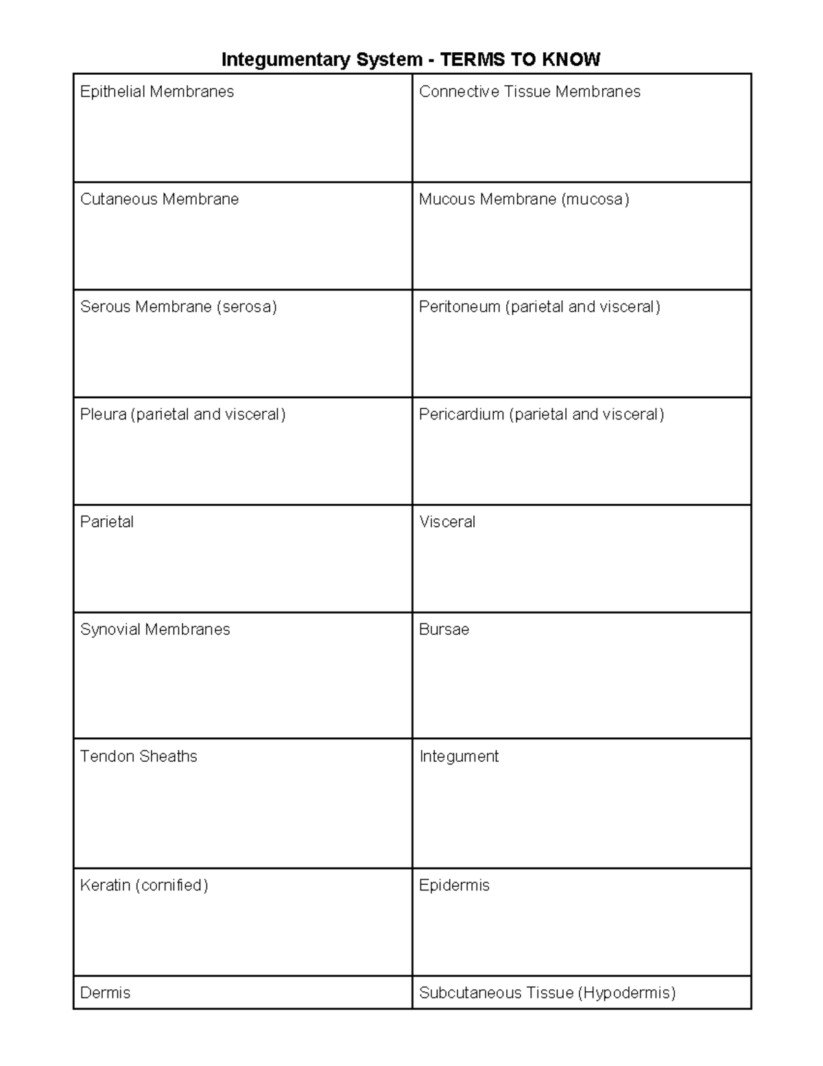 Int Sys Terms - Integumentary System - TERMS TO KNOW Epithelial ...