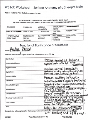 BIOS251 W6 Lab Instructions - Week 6 Lab Instructions Skeletal System Activity Description ...