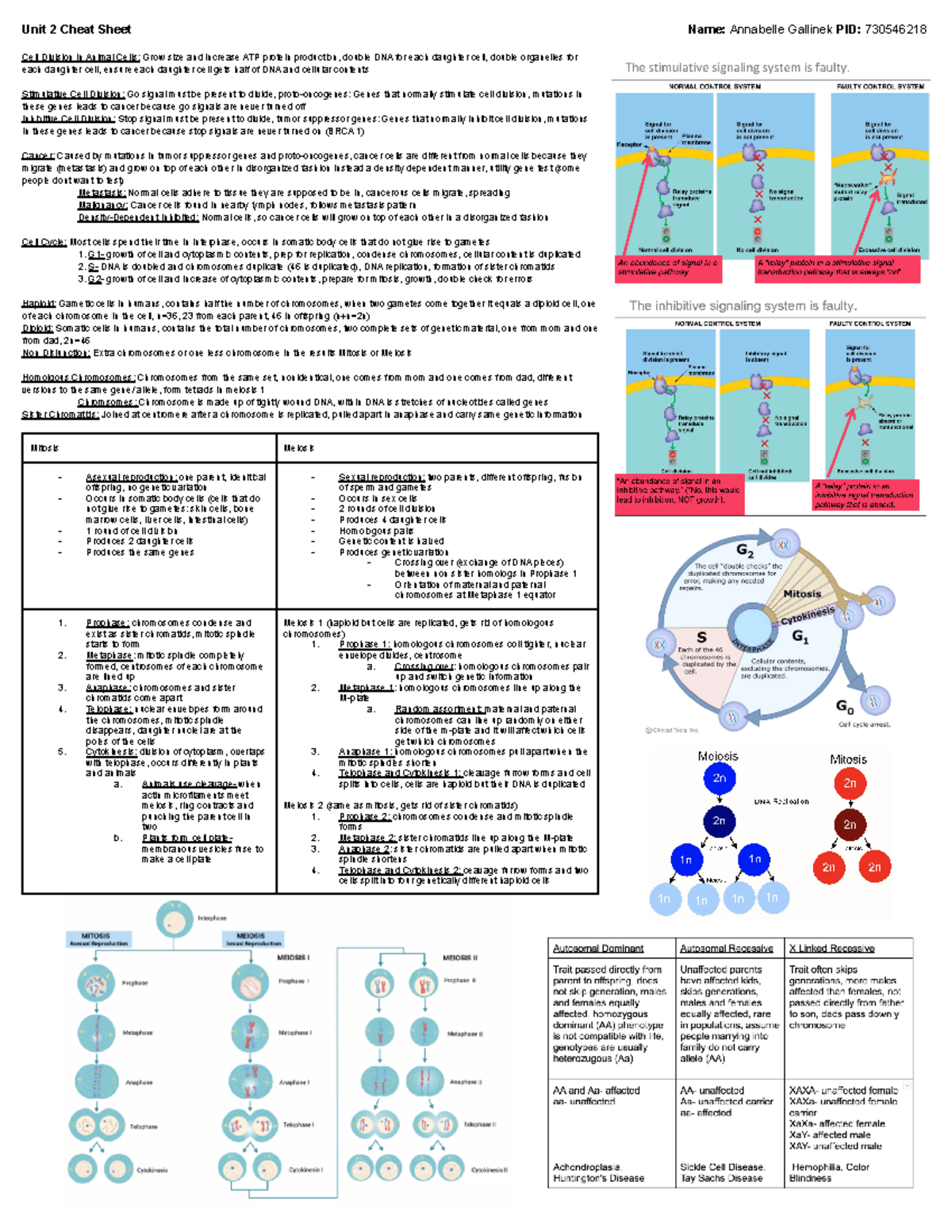 Biology Unit 2 Cram Sheet - Unit 2 Cheat Sheet Name: Annabelle Gallinek ...