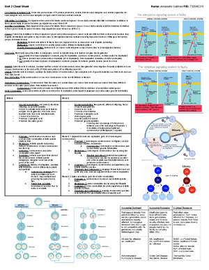 BIOL 101 Final Exam Study Guide - BIOL 101: Introductory Biology Final Exam Study Guide Your ...