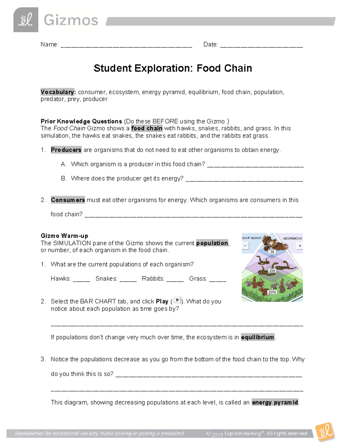 Food Chain SE - this is for my science class - Name