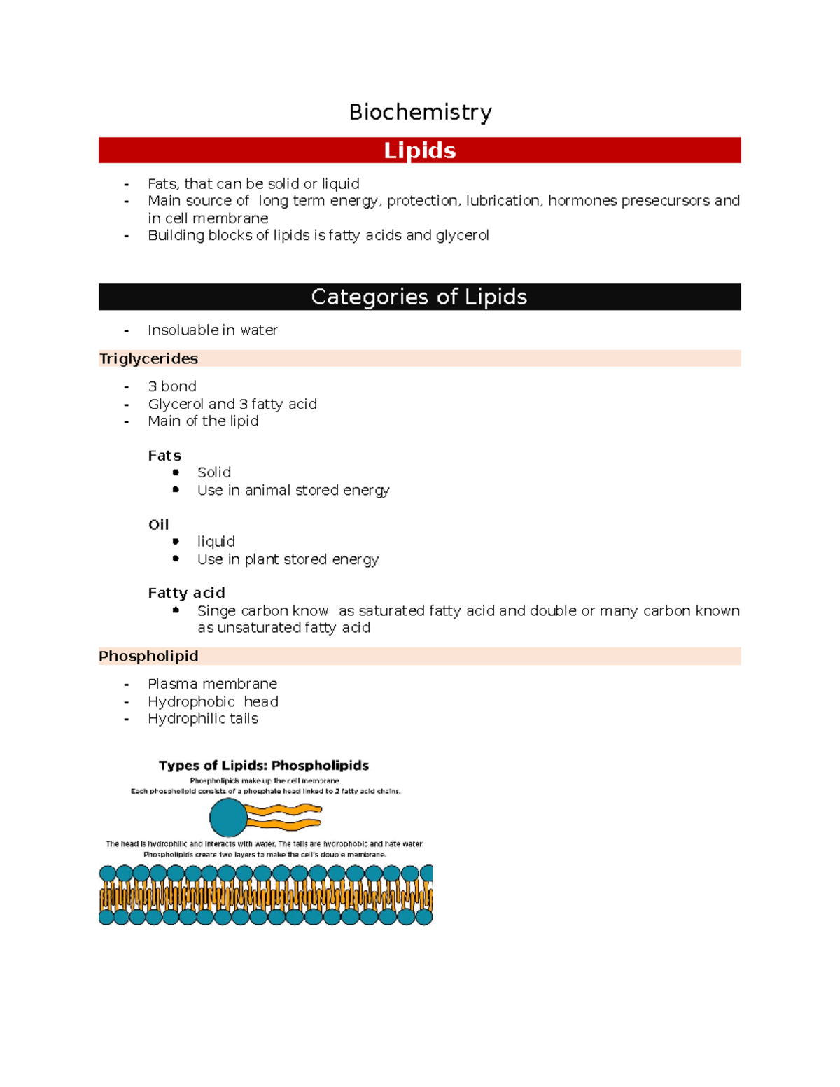 Biochemistry - Biochemistry Lipids Fats, that can be solid or liquid ...
