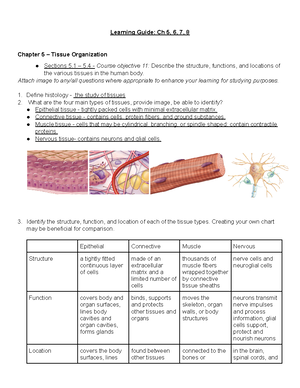Histology Notes - Histology: the study of tissues Tissue: a group of ...
