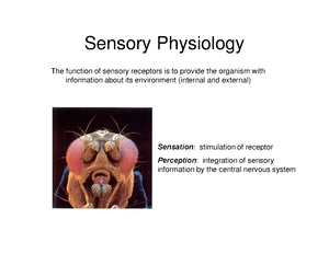 Frog muscle - lab report - Physiology Lab Thurs 1:00 Skeletal Muscle ...
