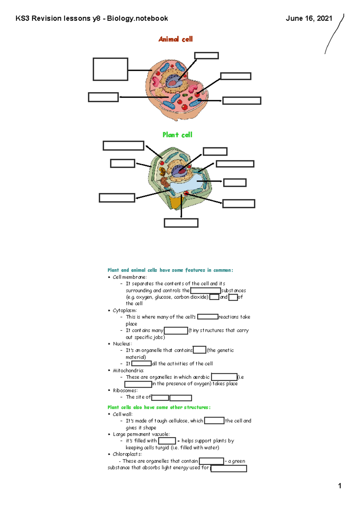 3. Biology revision 3 - Animal cell Cell membrane Cytoplasm Nucleus ...