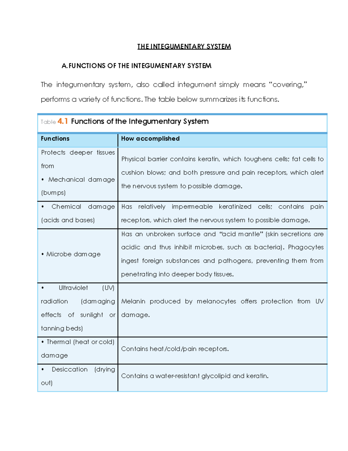 THE Integumentary System - THE INTEGUMENTARY SYSTEM A OF THE ...