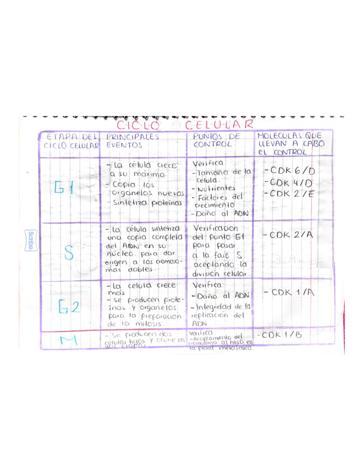 Tarea Ciclo Celular Y Meiosis. Eva Itzel Rdz Rdz. QFB - Introducción a ...