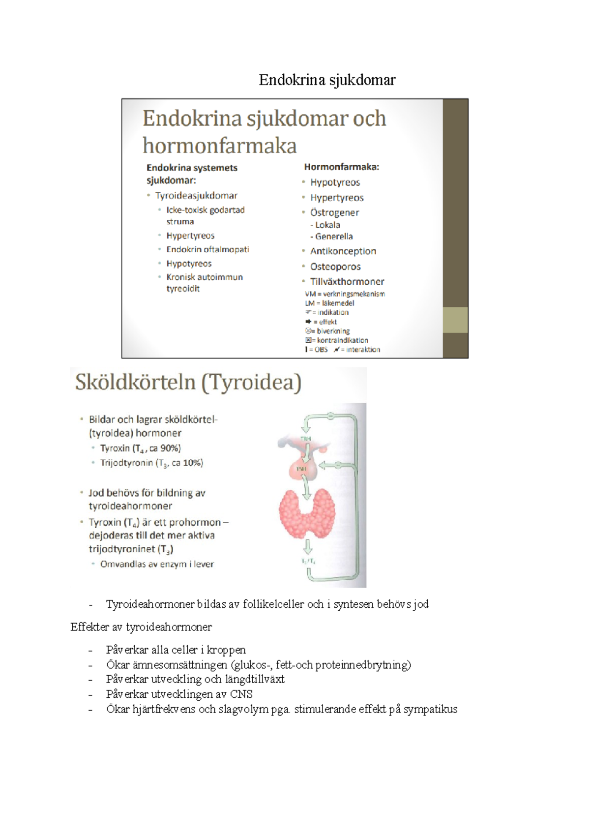 Endokrina sjukdomar - Endokrina sjukdomar Tyroideahormoner bildas av ...