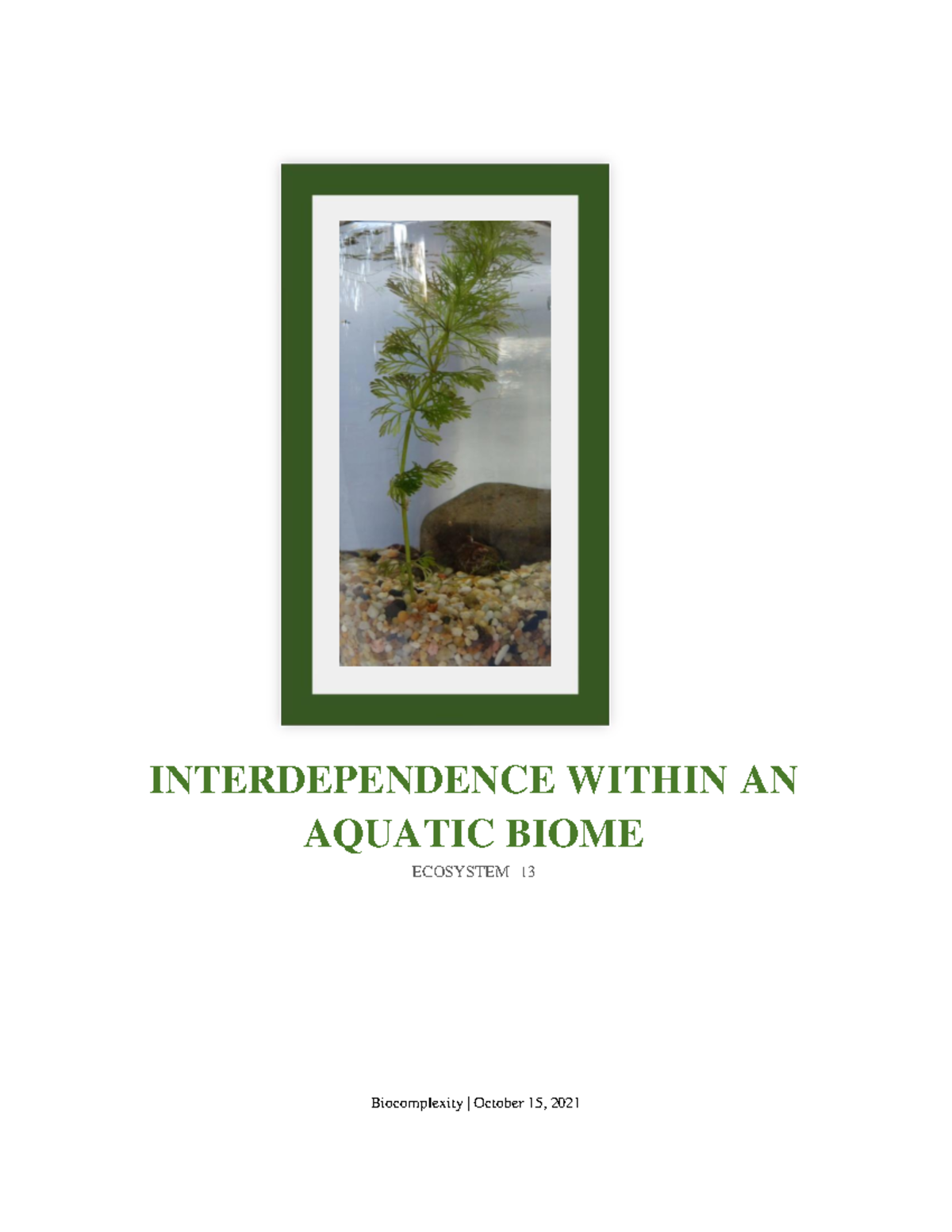 Biocompexity - ecosystem in a bottle - INTERDEPENDENCE WITHIN AN ...