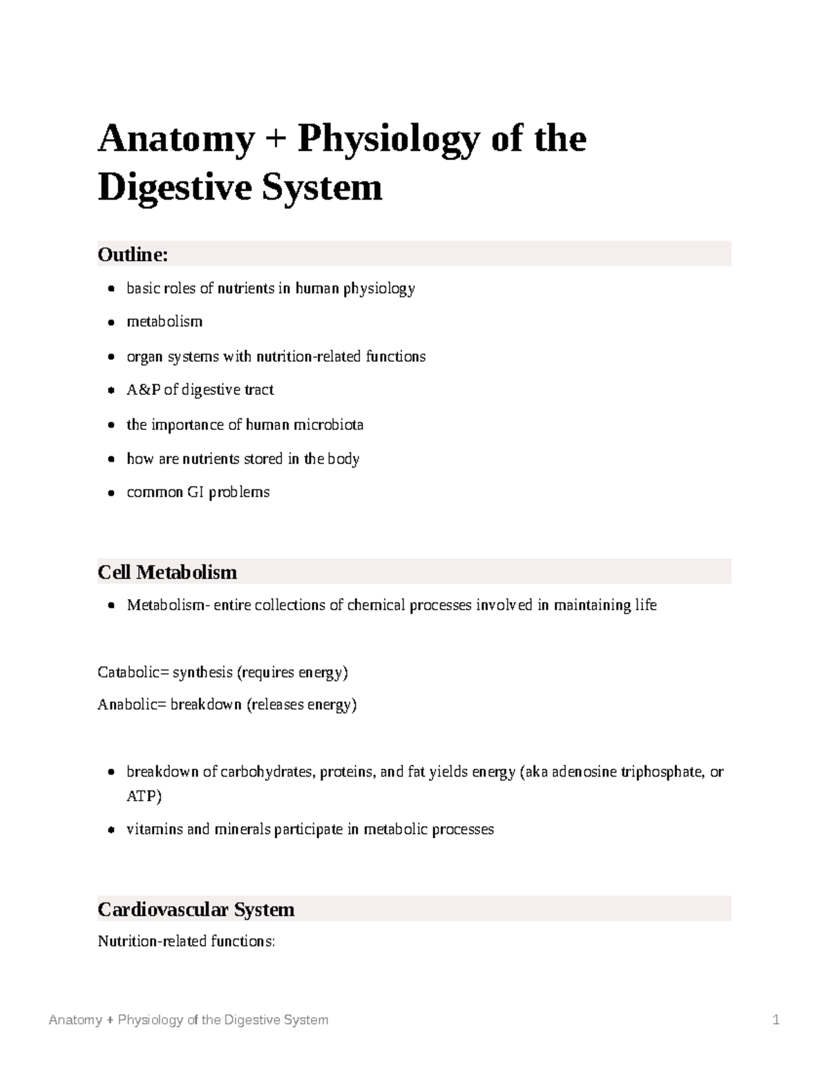 Anatomy Physiology of the Digestive System - Anatomy + Physiology of ...