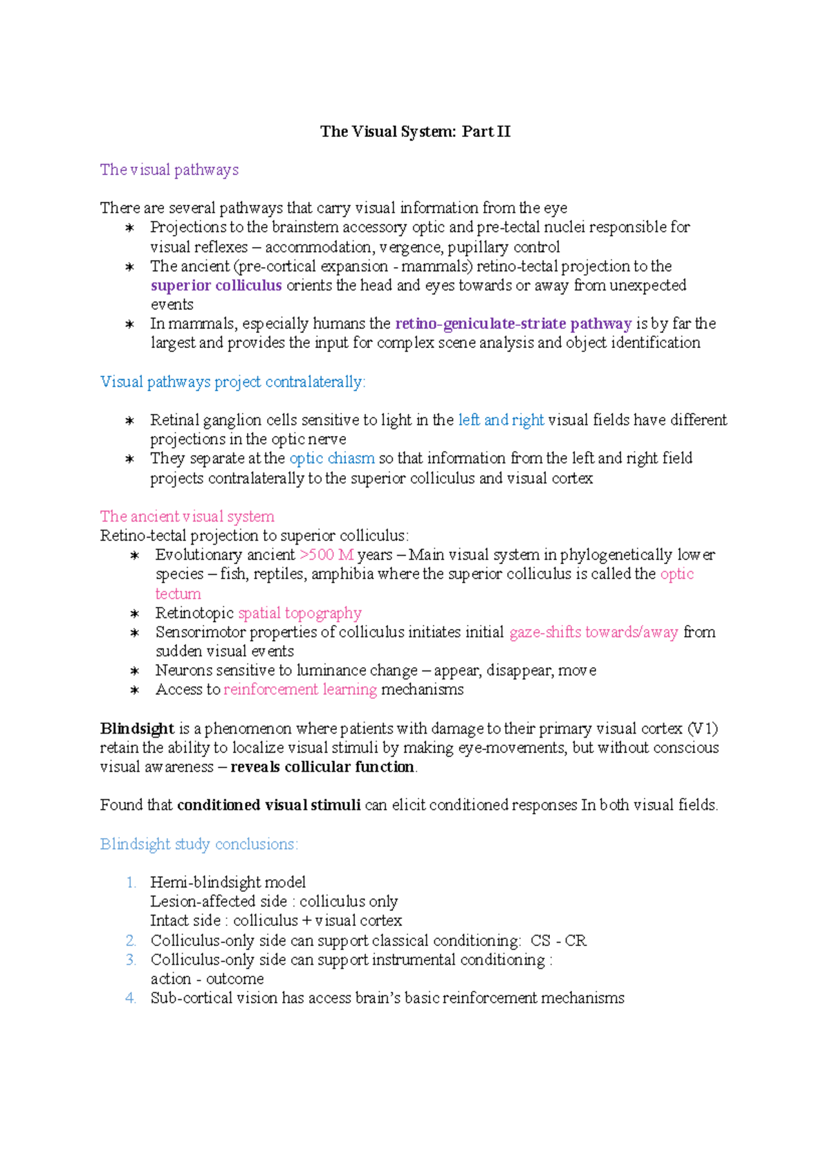 Lecture 7 The Visual System Ii The Visual System Part Ii The Visual Pathways There Are