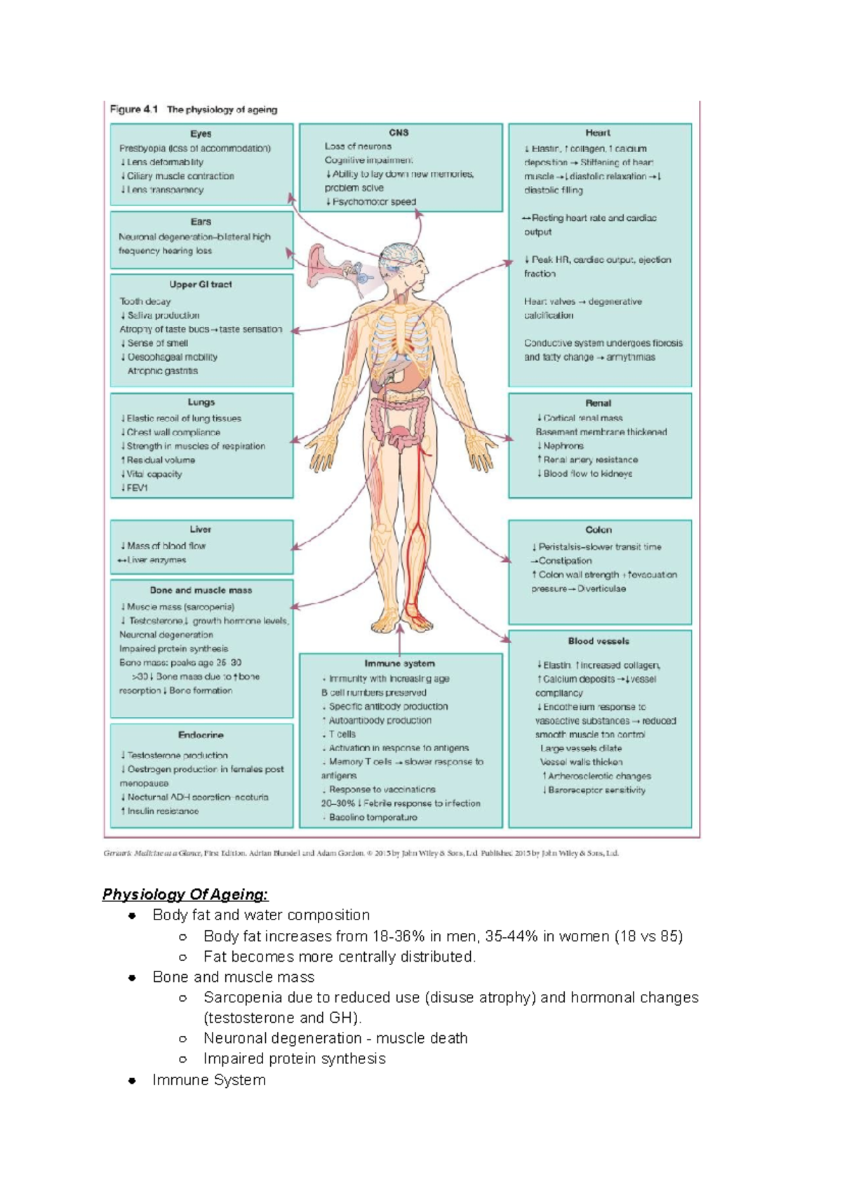 Physiology of Ageing - Lecture notes Year 4 Geriatrics - Physiology Of ...