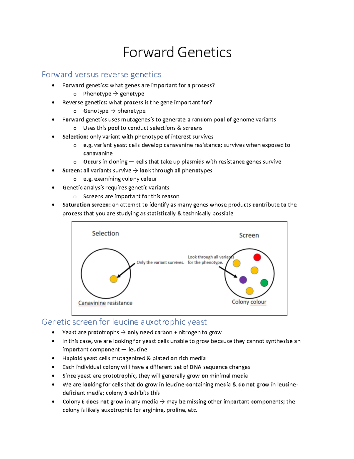 Week 7 Genetics - notes - Forward Genetics Forward versus reverse ...