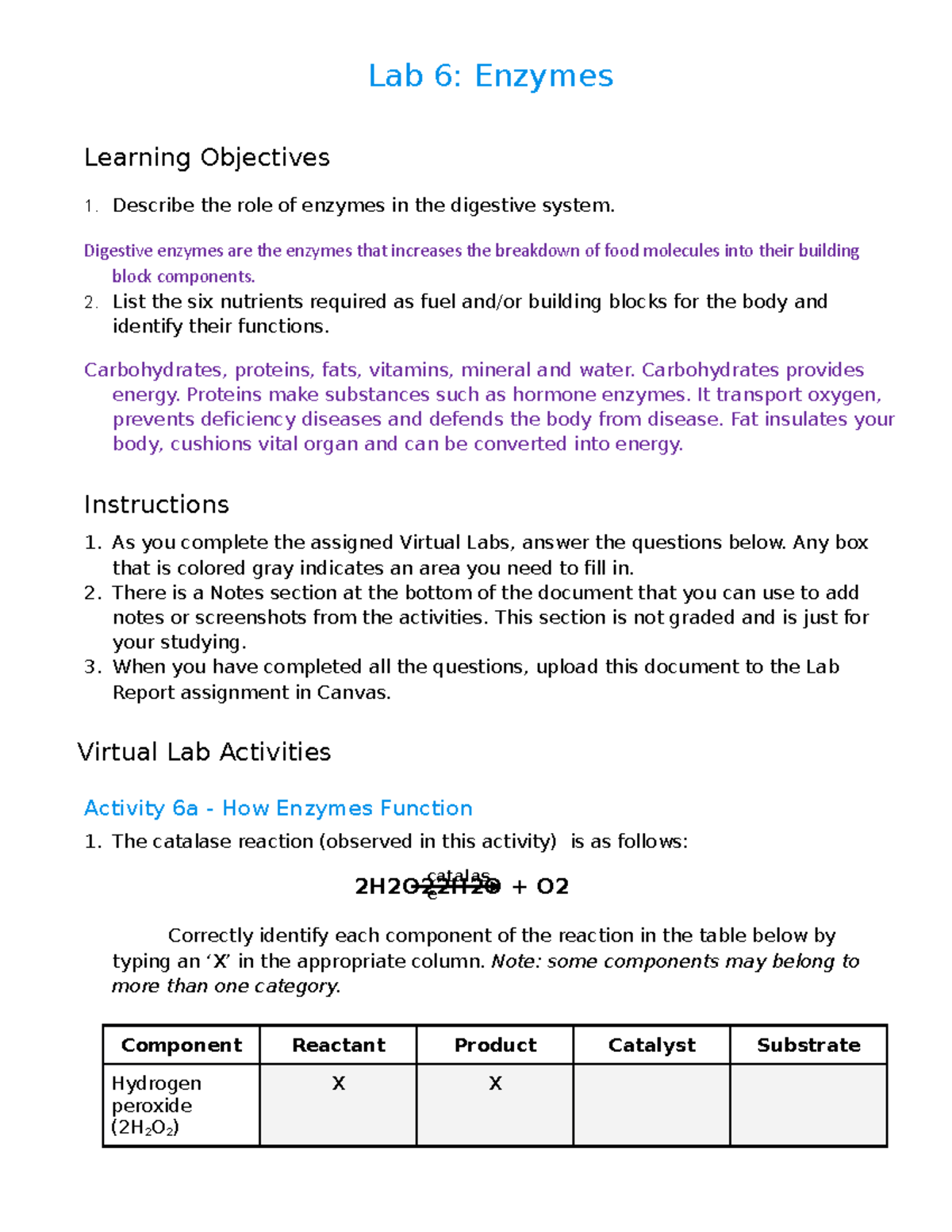 Lab 6 Enzymes Lab Report at Despina Olson blog