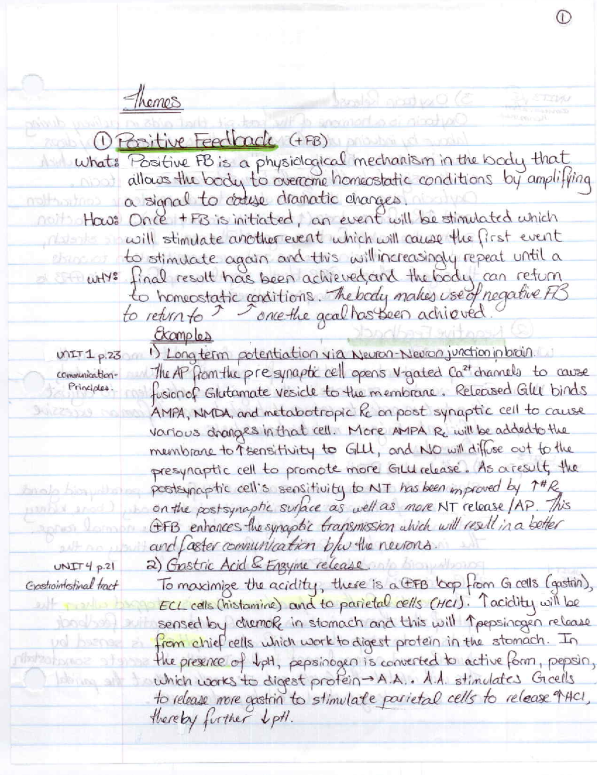 HK Final Exam - Theme Questions - HK 2810 - Studocu