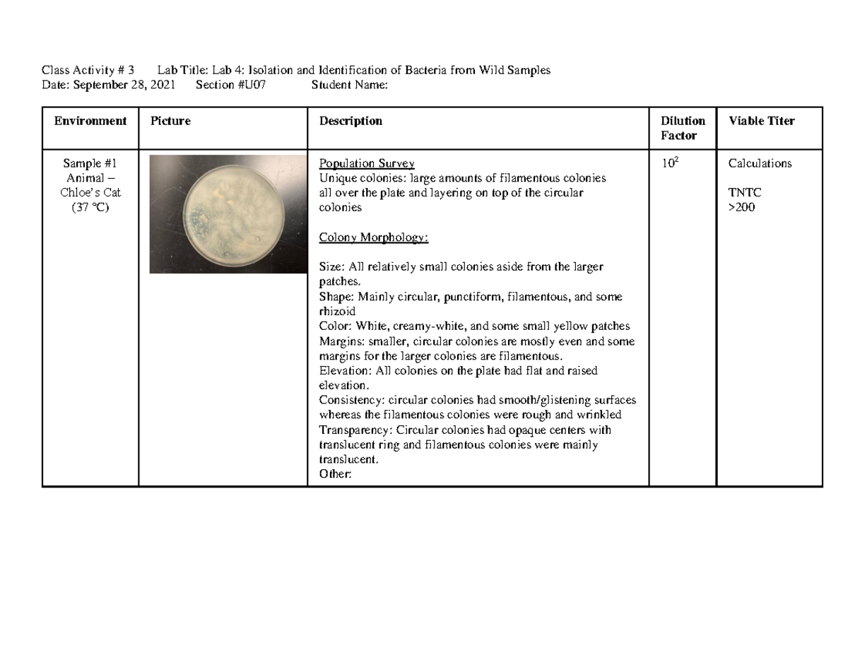 Class Activity 3 - Lab 4: Isolation and Identification of Bacteria from Wild Samples - Class ...