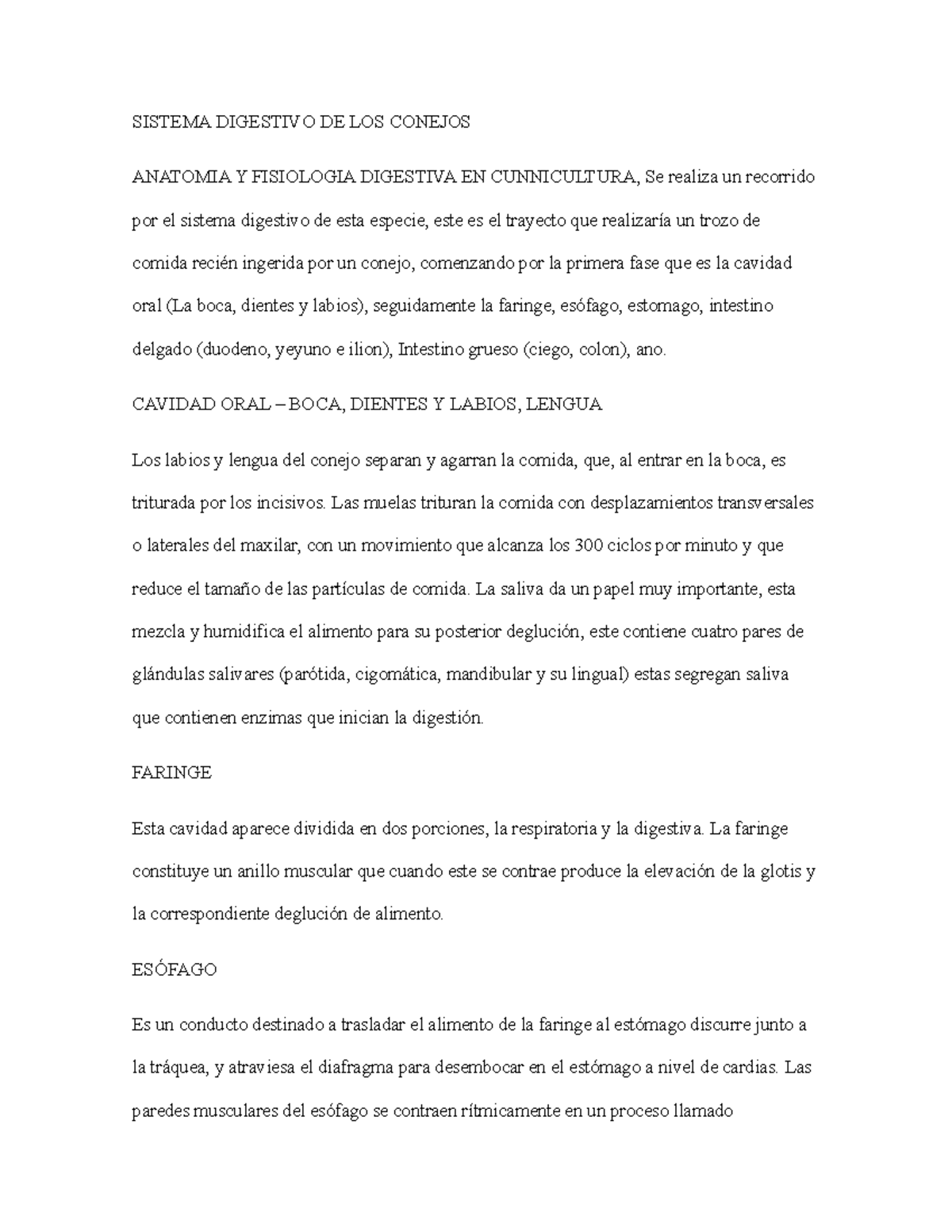 Sistema Digestivo DE LOS Conejos.docx fisiologia - SISTEMA DIGESTIVO DE ...
