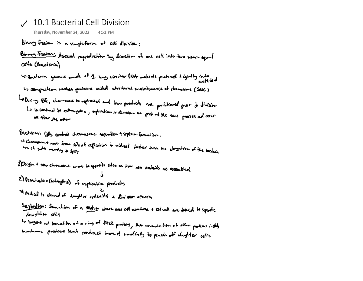 Chapter 10 Cell Division - 10 Bacterial Cell Division Thursday ...