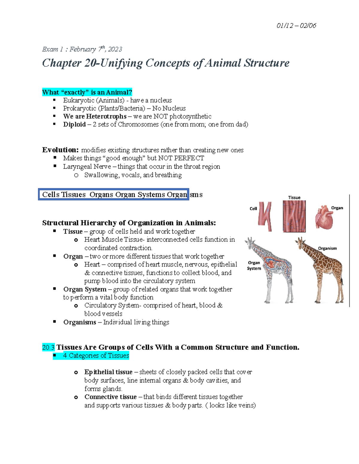 BIO Exam 1 Notes - Exam 1 : February 7th, 2023 Chapter 20-Unifying ...