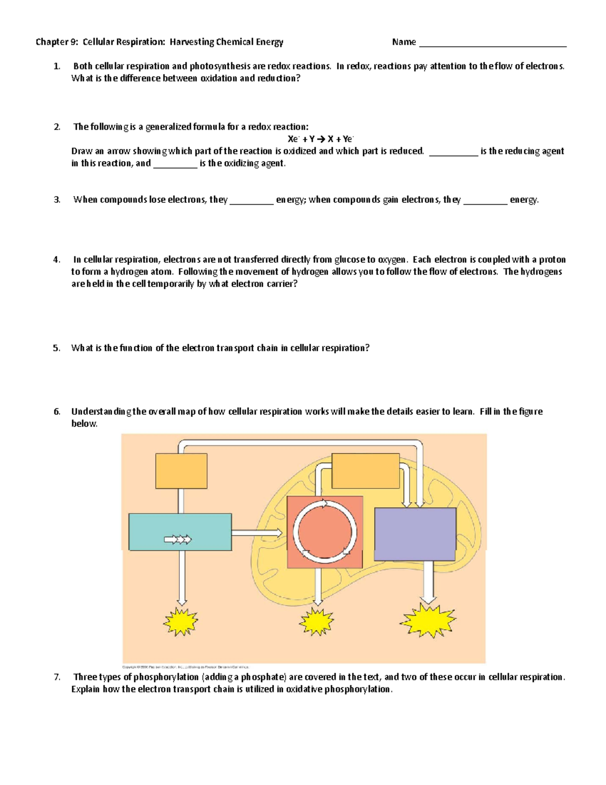 Chapter 9 - biology - Chapter 9: Cellular Respiration: Harvesting ...